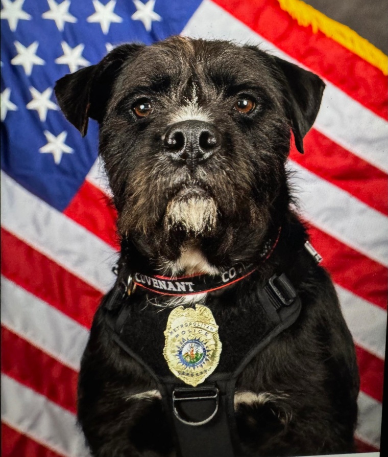 TODAY SHOW | 2025 American Humane Hero Dog Awards Has a Winner: Meet ...