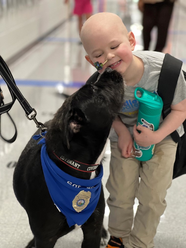 2025 American Humane Hero Dog Awards Winner Revealed: EXCLUSIVE
