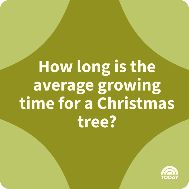 80 Fun Christmas Trivia Questions to Test Your Holiday IQ