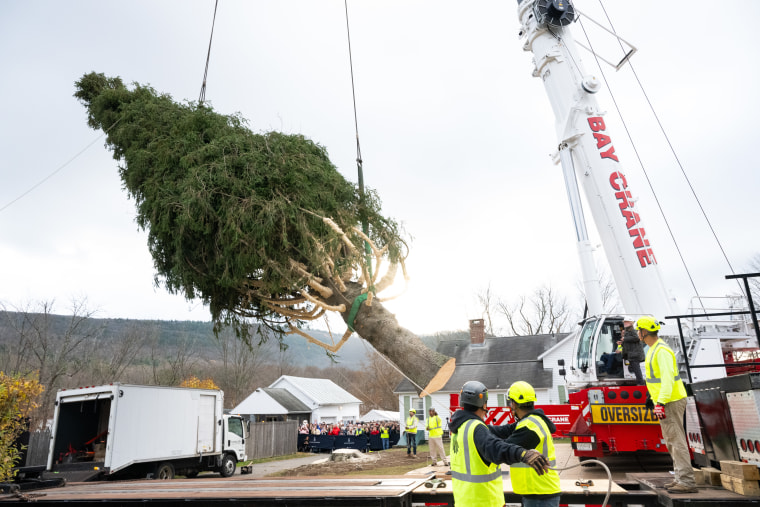 How Rockefeller Center's Gardener Chooses the Christmas Tree Each Year