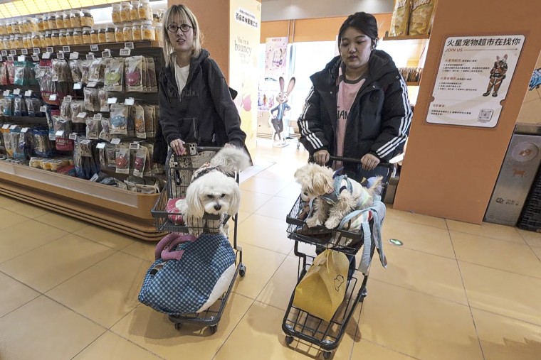 China sees surge in pet ownership as population shrinks