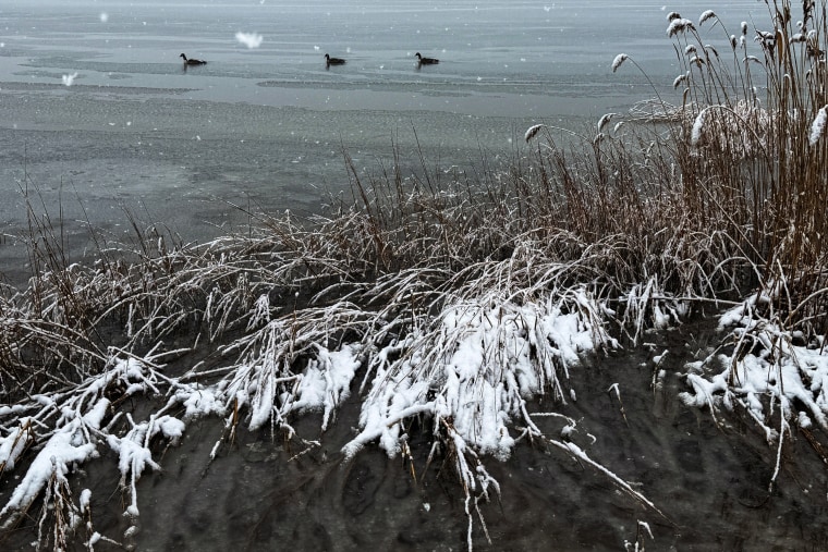 La nieve por frente frío deja copos hasta en partes de Florida