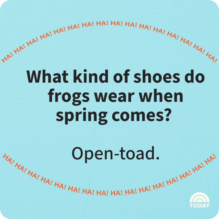 50 Funny Spring Jokes for Kids and Adults