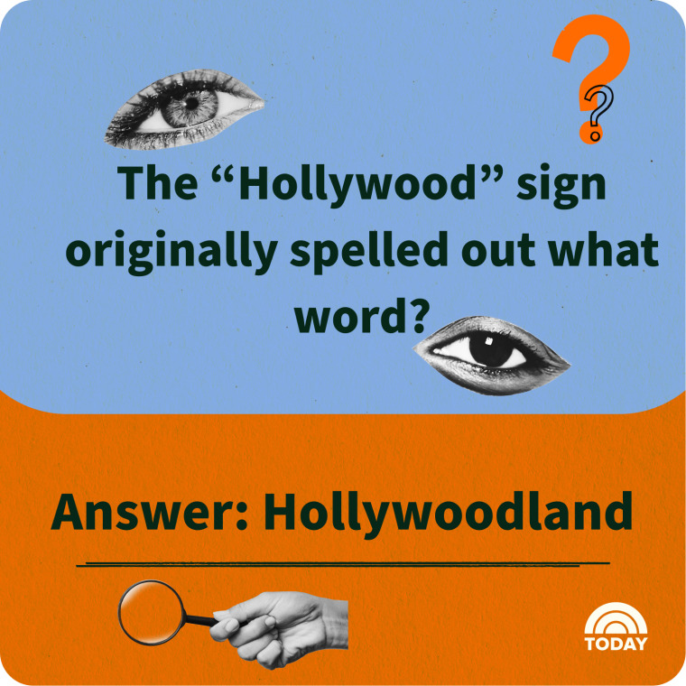 375 Trivia Questions With Answers for Your Next Game Night