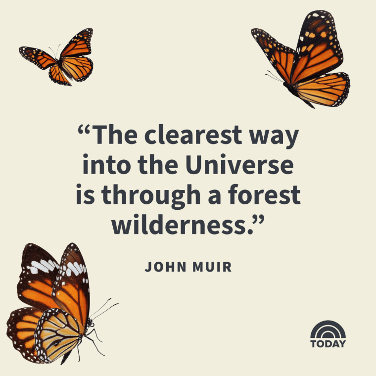 65 Earth Day Quotes About Nature and the Environment