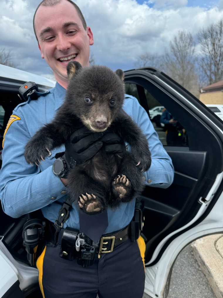 New Jersey Police Rescue a Bear Cub and the Photos Are Adorable