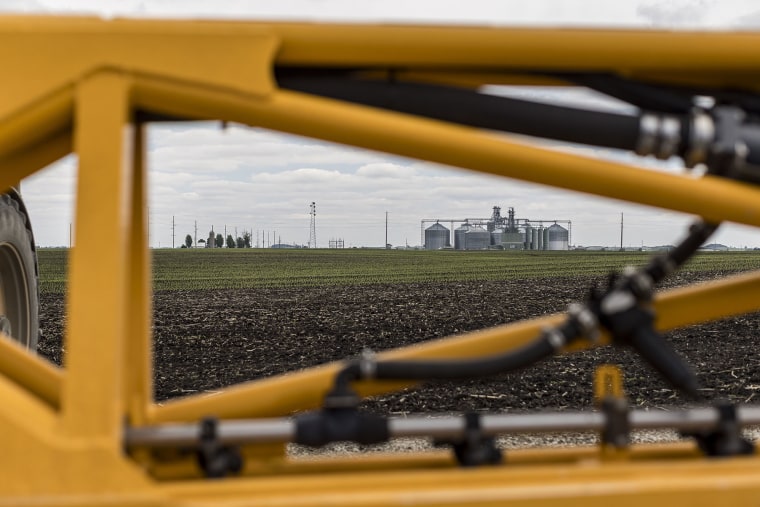Farmers in Iowa are struggling in Trump’s economy, but many say they ...