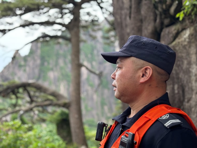 This 1,000-year-old pine tree’s protector fears changing weather patterns