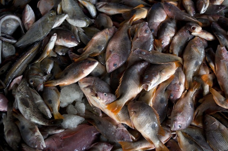 Abundance of seafood for Burmese fishing industry