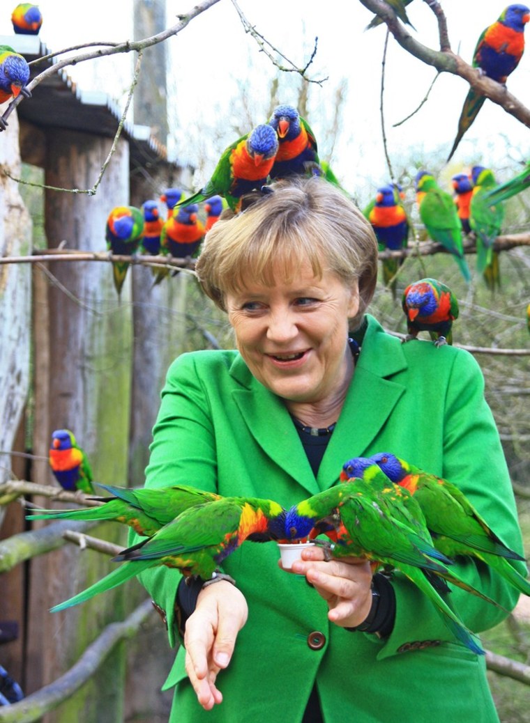 Picking a perfect perch