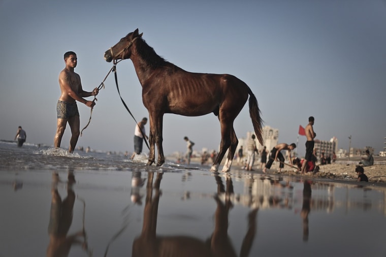 Leading a horse to water in Gaza