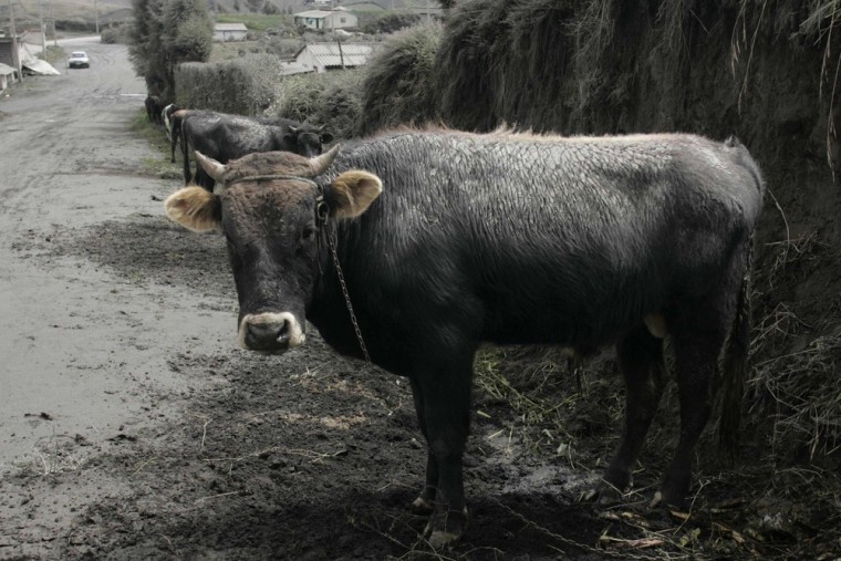 Tungurahua volcano erupts in Ecuador
