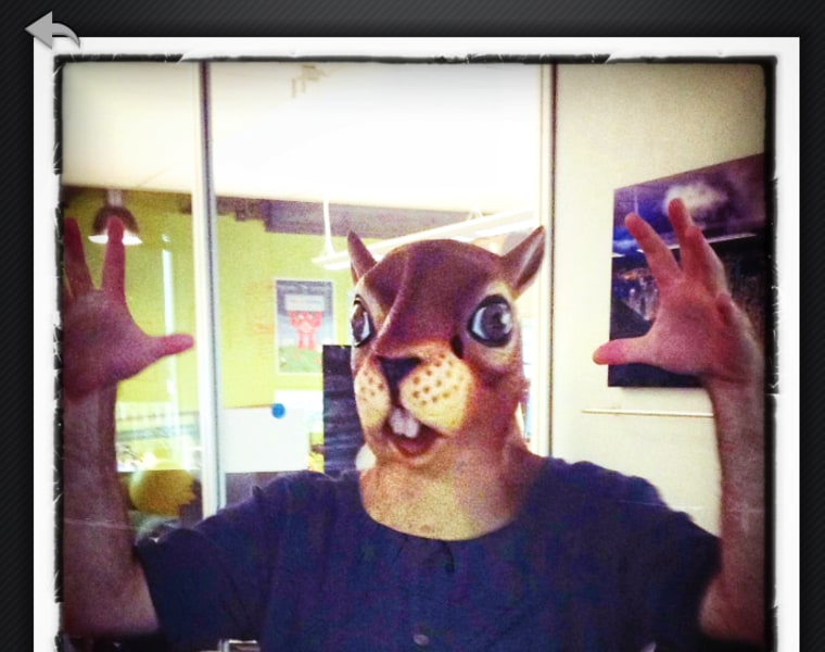 Snapseed photo-editing app goes free, finally comes to Android