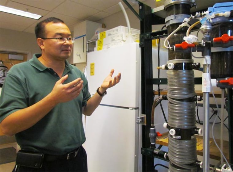 Poop-to-power projects pumped up