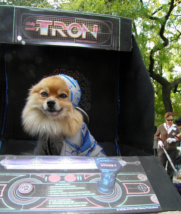 Pre-caffeine tech: 'TRON' dog is up in your game