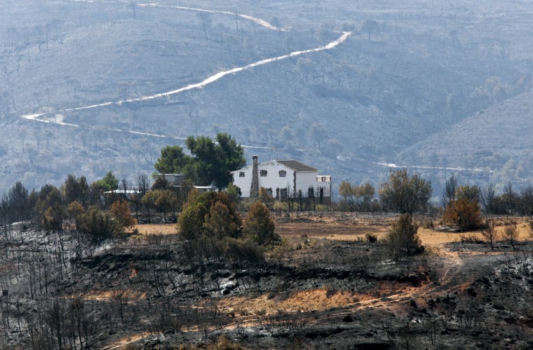 Winds feed wildfire near Valencia, Spain