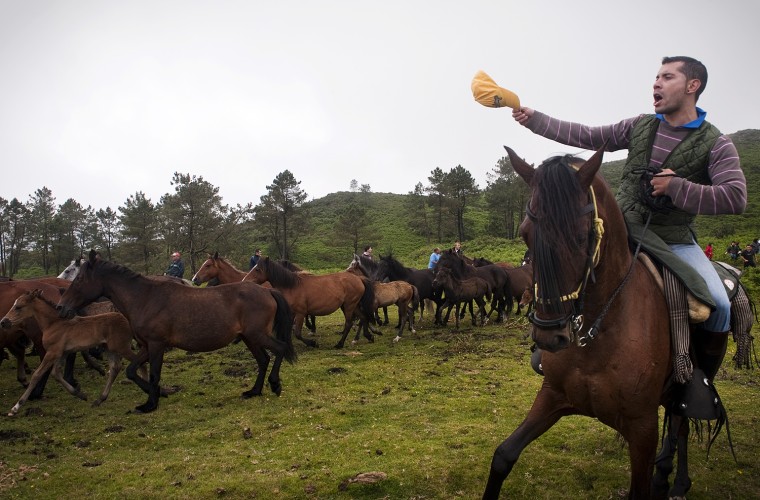 Spanish villagers partake in Shearing of the Beasts