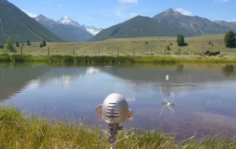 Skip a stone on a mountain lake from your desk