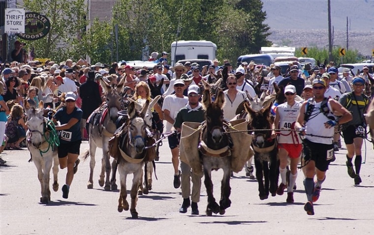 Forget the Olympics! Try racing with a burro