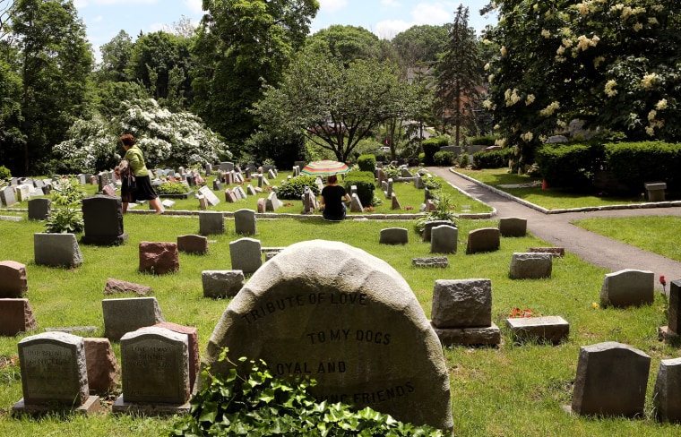 Oldest pet cemetery in US is final resting place for thousands of animals