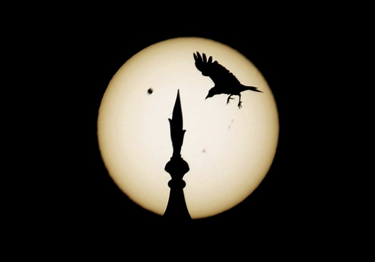 More views of Venus passing in front of the sun