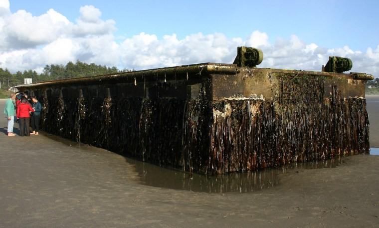 Dock becomes largest tsunami debris to arrive from Japan