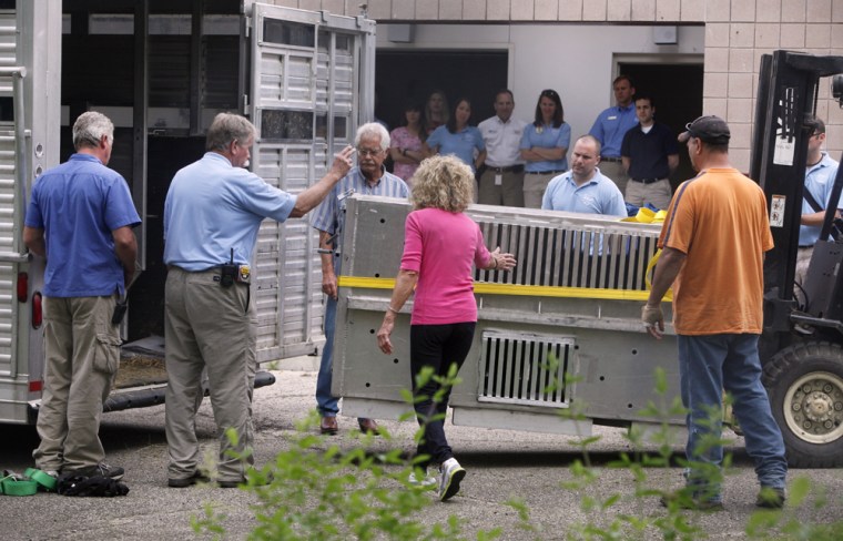 Ohio zoo returns surviving exotic animals to widow