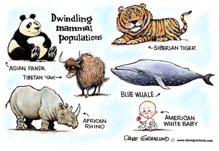 White minority cartoons