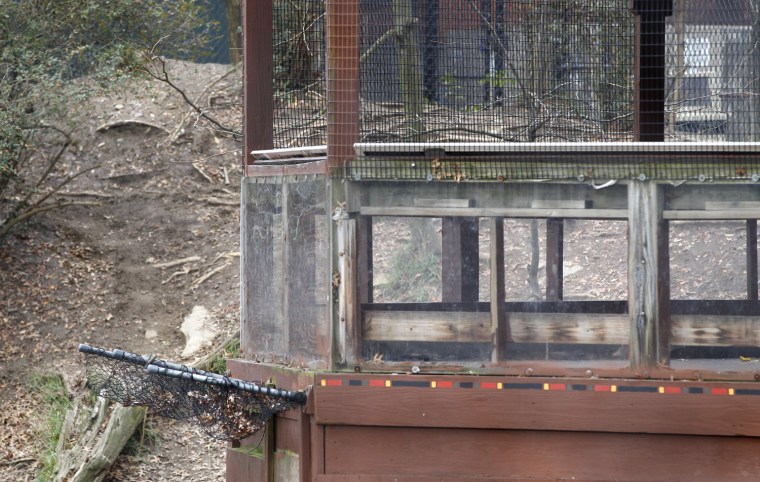 Zoo officials: Toddler's death in Pittsburgh shows no zoo is 100 ...