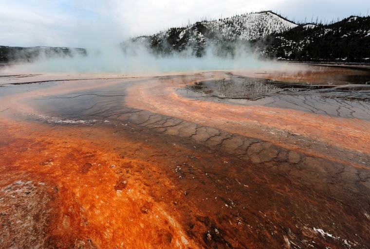 Yellowstone's vibrant hot springs