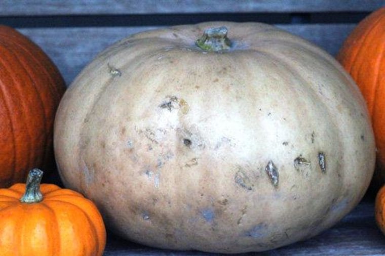 Put down the carving knife: Savor National Pumpkin Day