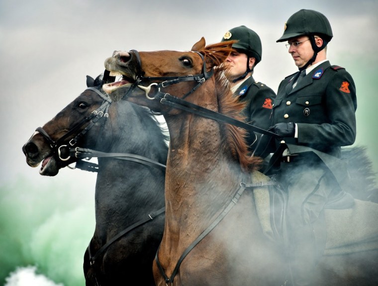 Cavalry practice on the beach in the Netherlands