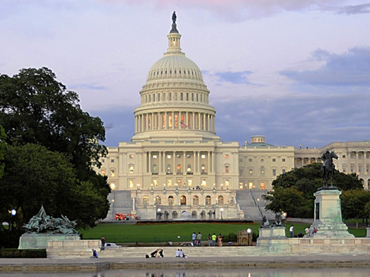 Landscape architects' group offers a new view of the nation's capital