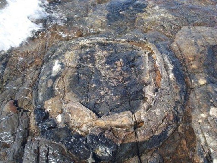 Eww! Early Earth smelled like rotten eggs