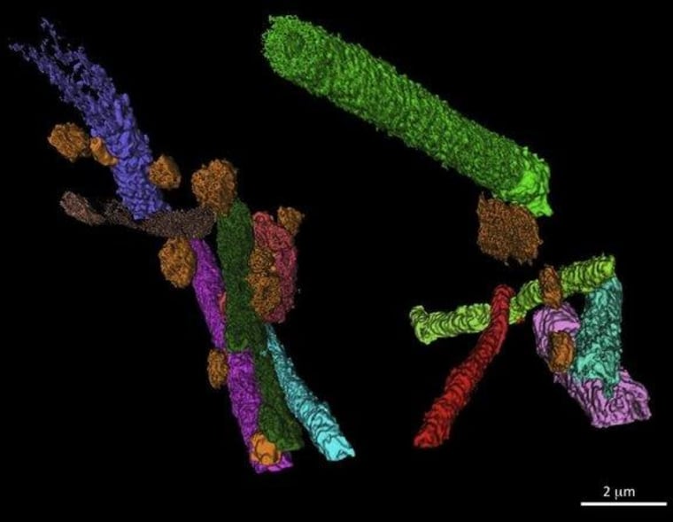 Eww! Early Earth smelled like rotten eggs