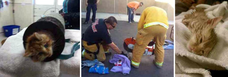 Kitten rescued from pipe predicament in California