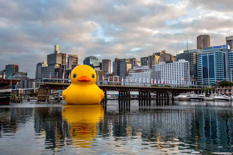 Giant rubber duck thrills Sydney Harbor