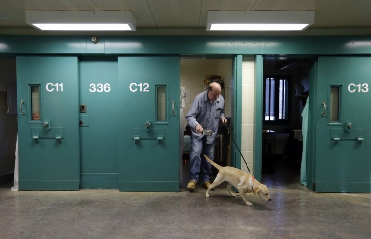 Puppy training: Future service dogs head to maximum-security prison