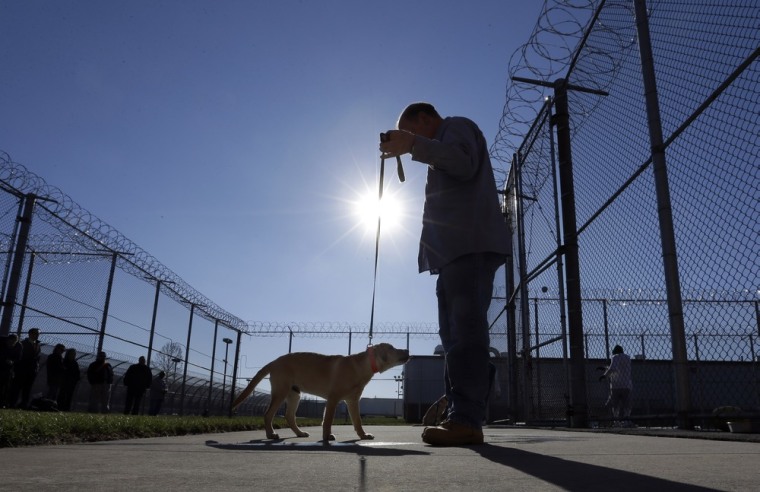 Puppy training: Future service dogs head to maximum-security prison