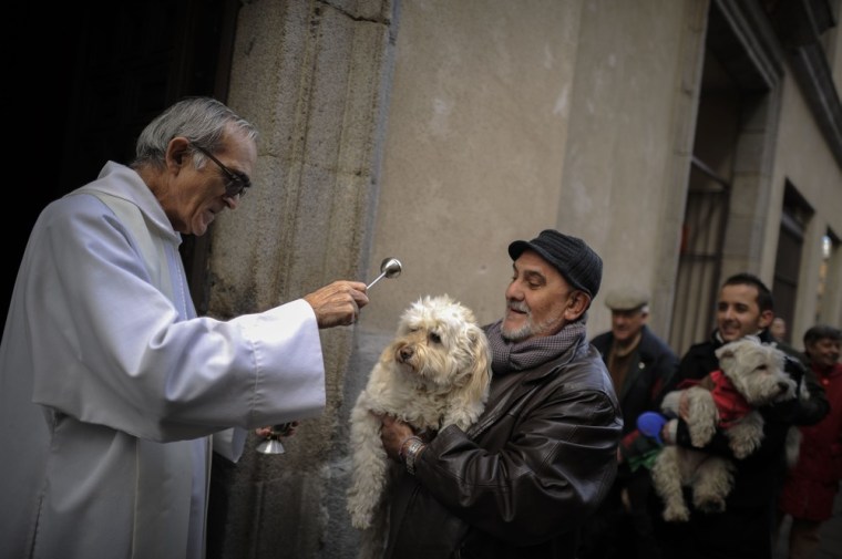 Gone to the dogs? San Anton church blesses pets