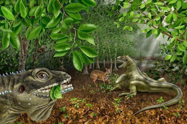 Real-life lizard king named for Doors' Jim Morrison