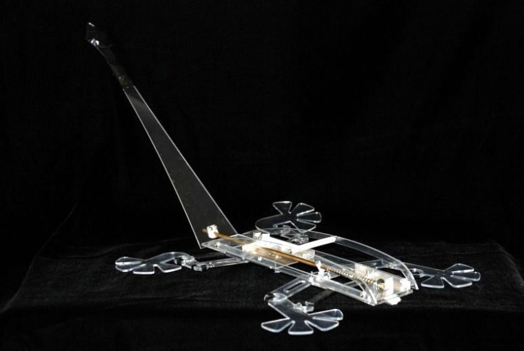 Nature inspires flying machines