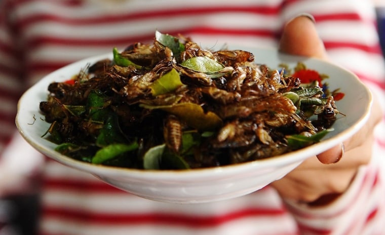 Food critic dishes on encounter with fried crickets