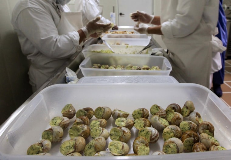 Fast times at snail farm: four tons produced per month