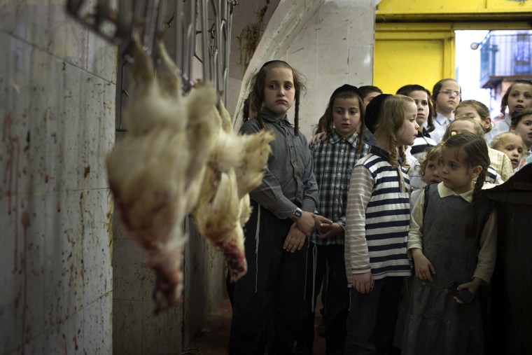 Ancient Jewish ritual performed ahead of Yom Kippur in Israel