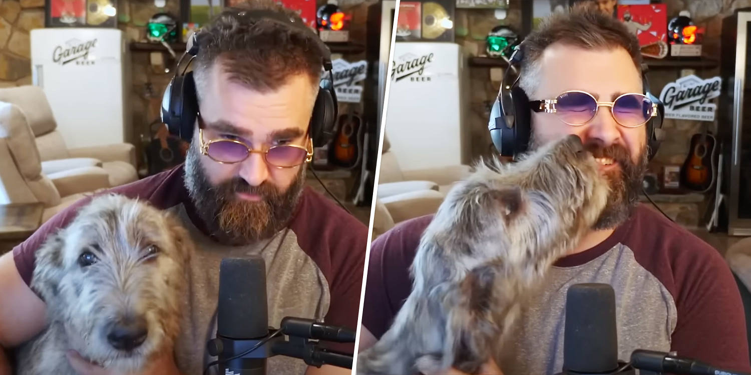 MxM News: Jason Kelce introduces new puppy after death of family dog ...