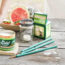 These 'Mosquito Sticks' are the new mess-free way to repel bugs this summer