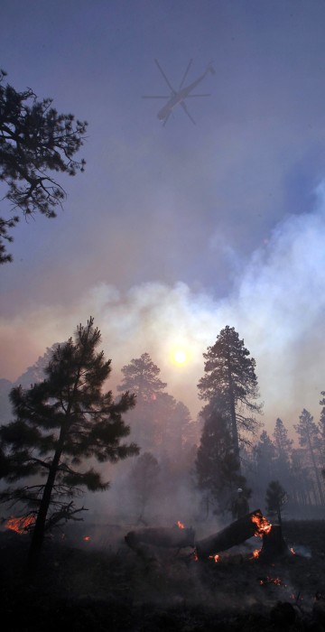 wildfire iphone wallpaper