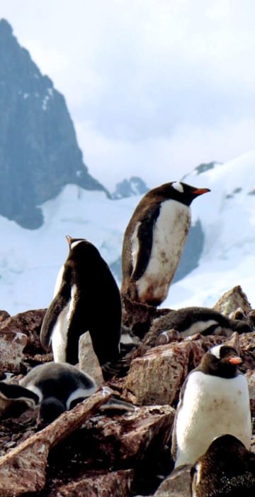 Antarctica: Journey to the bottom of the Earth