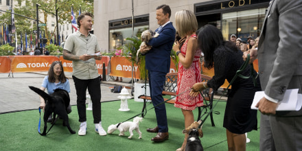 Animal News | NBC News